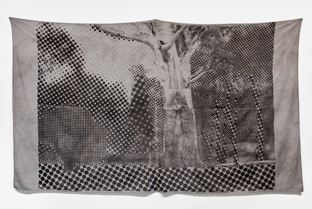 Rebecca Mayo | Exhibition | Heide Museum of Modern Art Melbourne