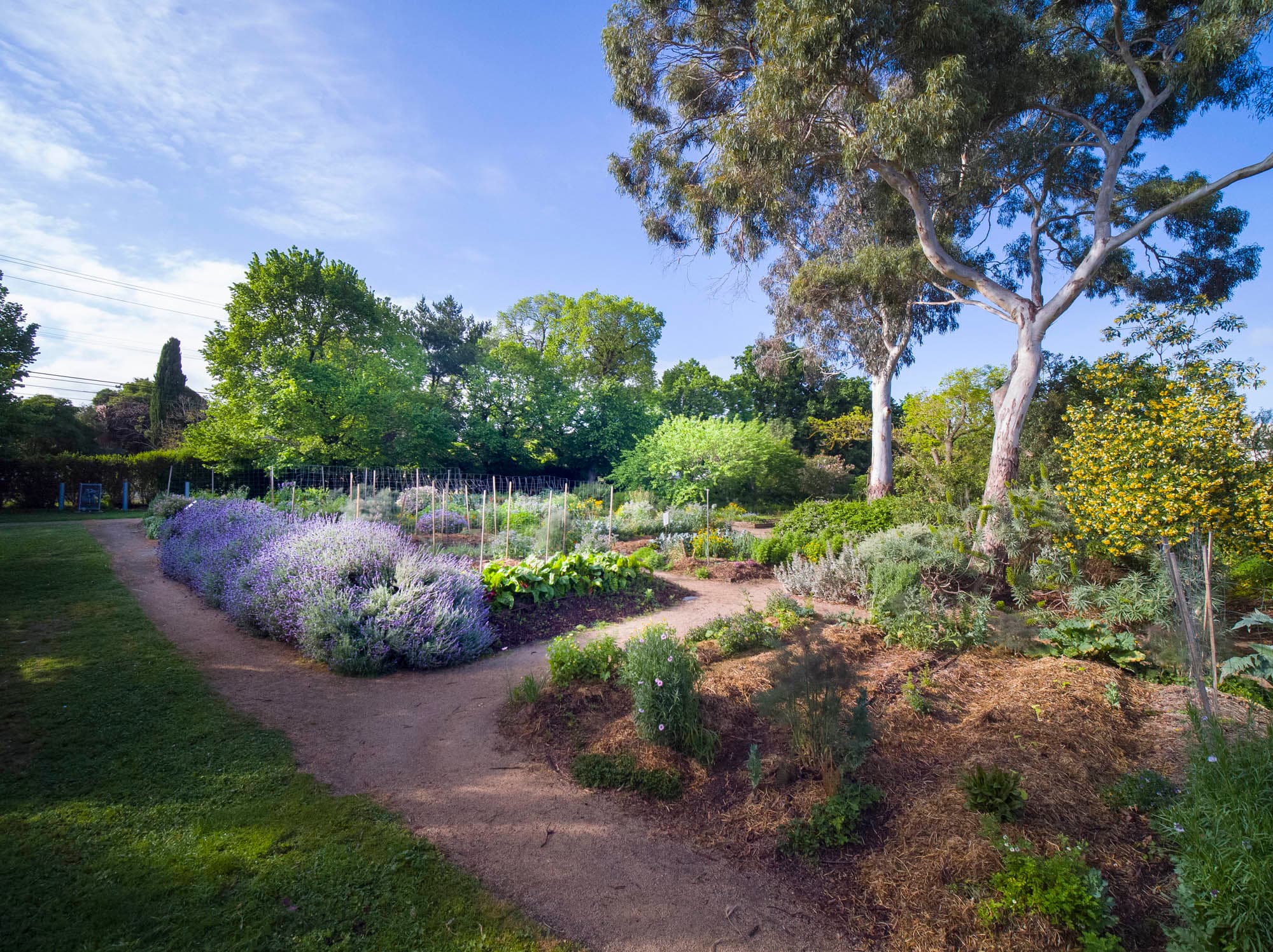 Kitchen Gardens - Heide