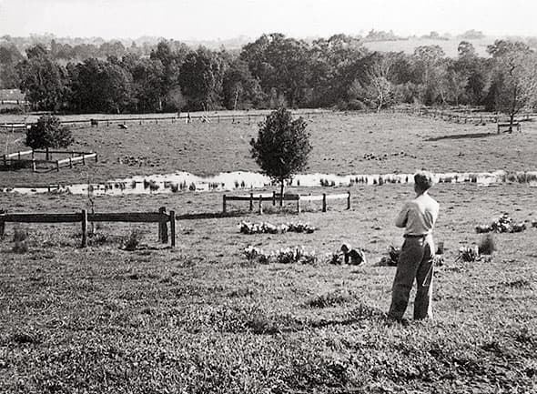 Heide Garden History - Heide